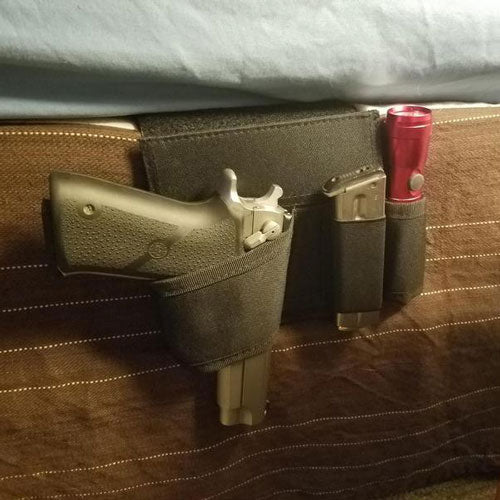 Best place for a gun in your house – Dinosaurized Store