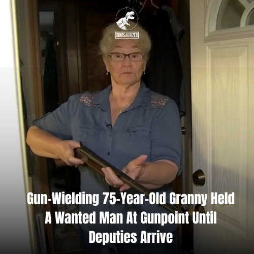 Gun-Wielding 75-Year-Old Granny Held A Wanted Man At Gunpoint Until De ...