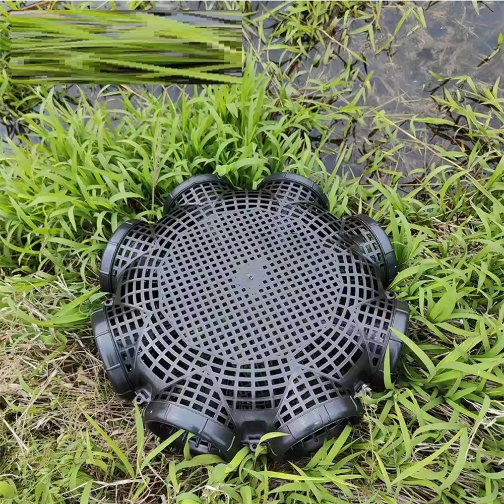 Vidar Large Eel Fish Cage Trap Fish Catching Cage – Dinosaurized Store