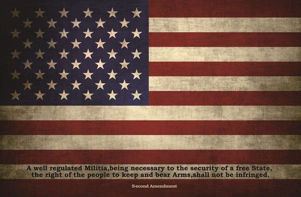 T-REX GUN MAT GG – Dinosaurized Store